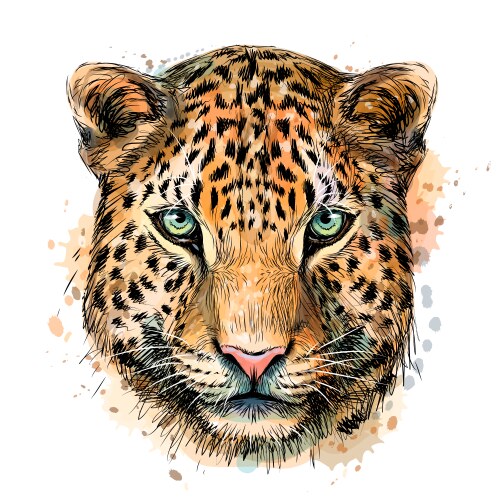 Jaguar Vector Images (over 18,000)