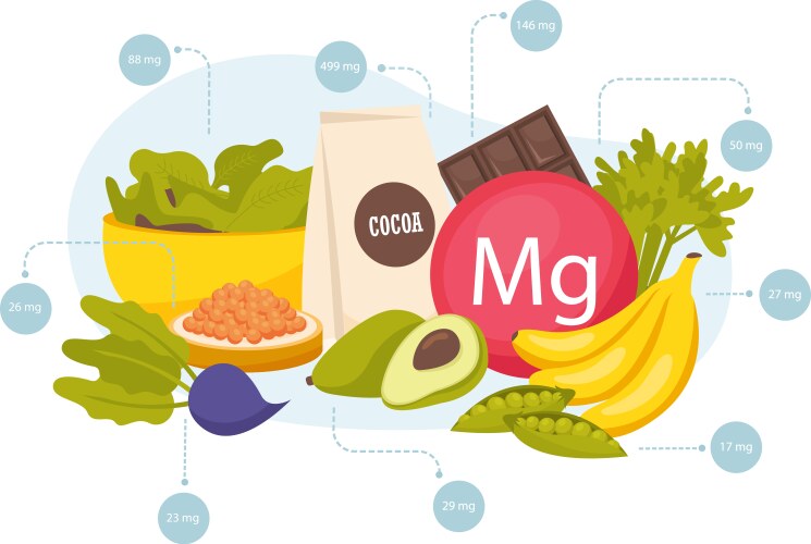 Magnesium foods composition Royalty Free Vector Image