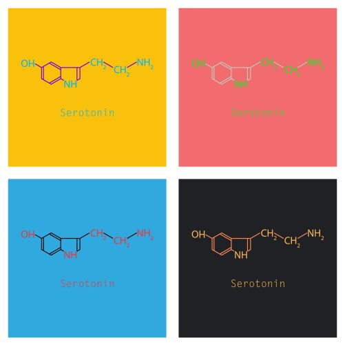 Serotonin neurotransmitter molecule skeletal Vector Image