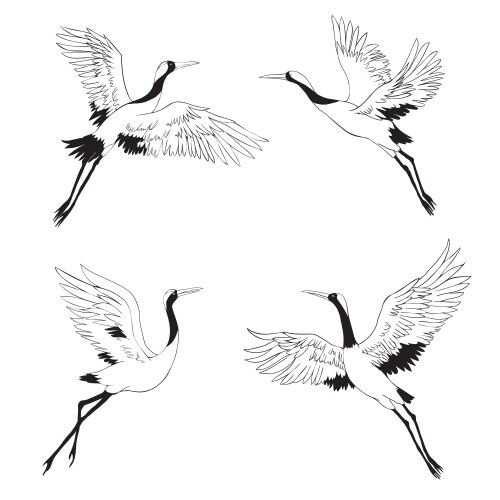 Crane silhouette Royalty Free Vector Image - VectorStock