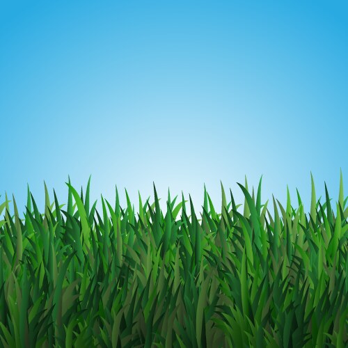 Grass Background Vector Images (over 200,000)