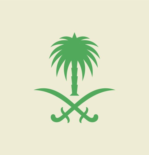 Saudi arabian traditional colors pattern Vector Image