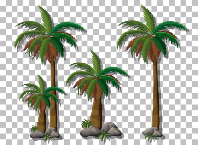Palm tree on transparent background Royalty Free Vector