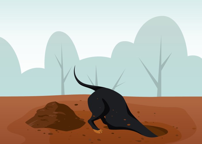 Pit Vector Images (over 11,000)