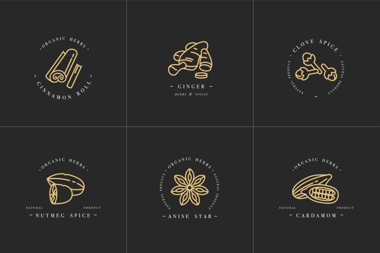 Cardamom Logo Vector Images (over 390)