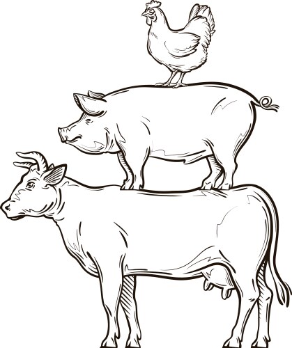 Pig Cow Vector Images (over 15,000)