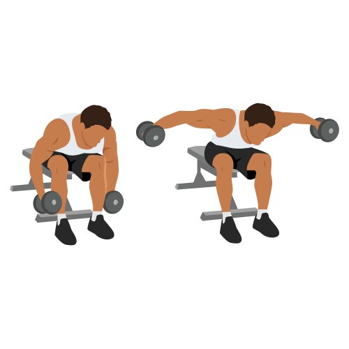 Lateral Raises Vector Images (over 160)