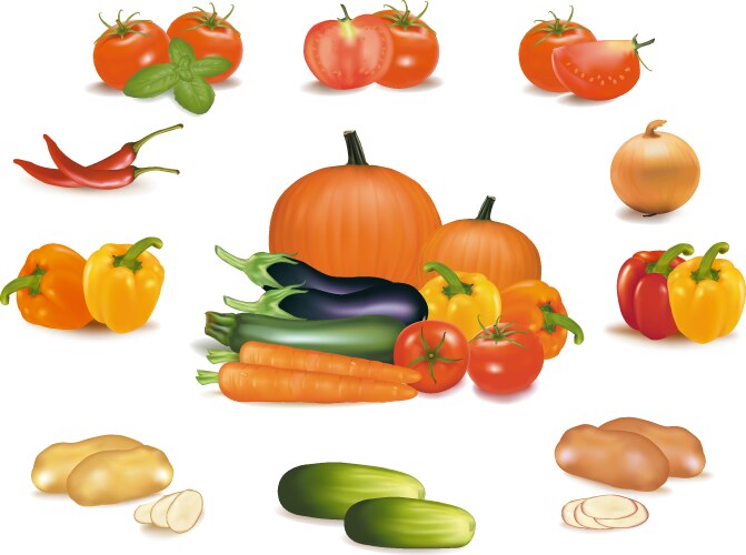 Set of vegetables Royalty Free Vector Image - VectorStock
