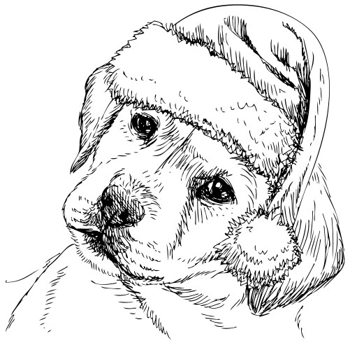 Labrador Vector Images (over 12,000)