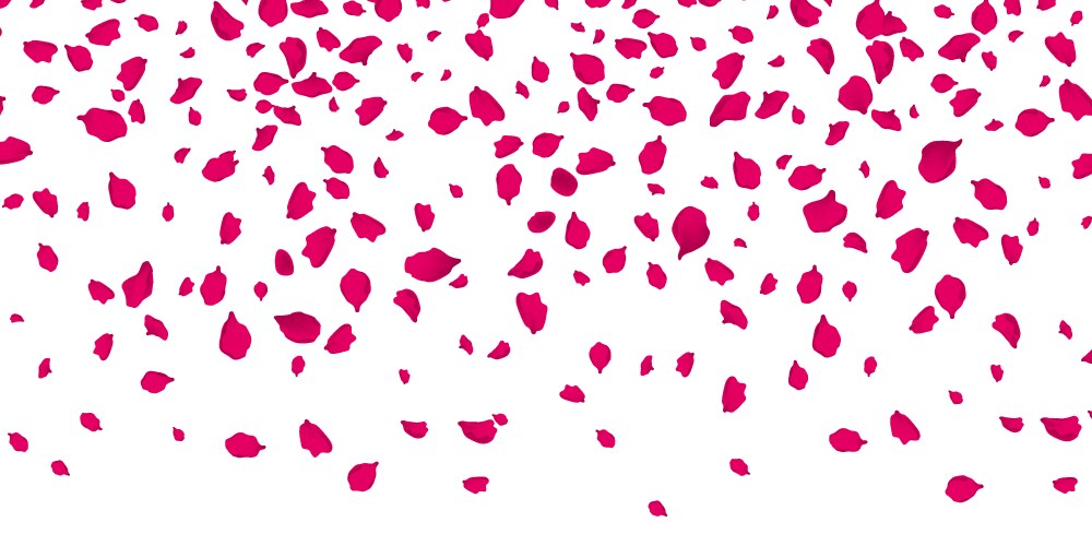 Flowers petals falling on transparent background Vector Image