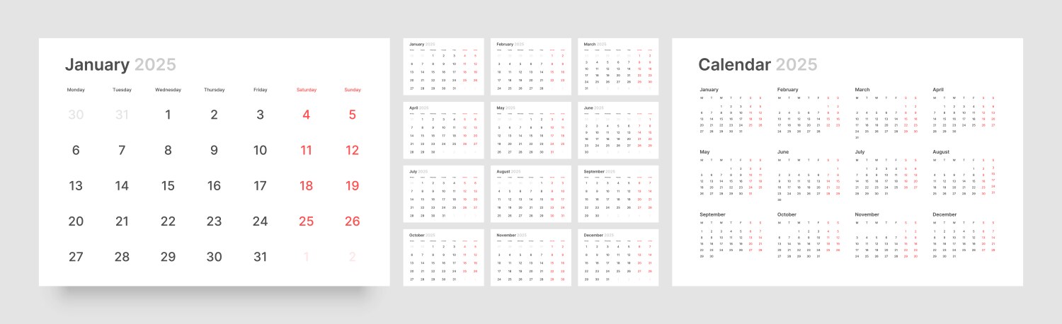 Monthly calendar layout for 2025 planner diary Vector Image