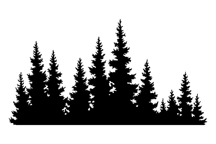 Fir trees silhouette coniferous spruce horizontal Vector Image