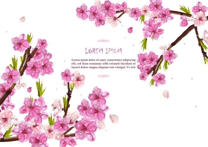 Cherry blossom Royalty Free Vector Image - VectorStock
