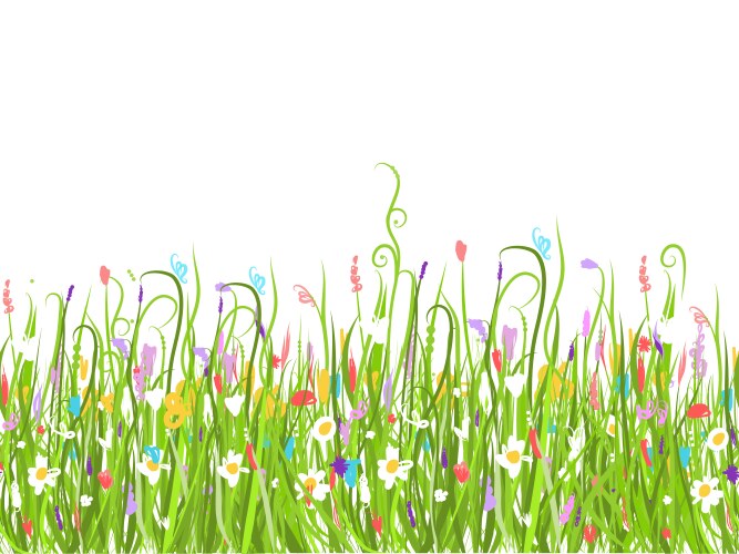 Wild meadow flowers seamless border beautiful Vector Image