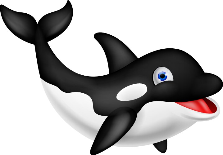Orca Cartoon Funny Vector Images (over 460)