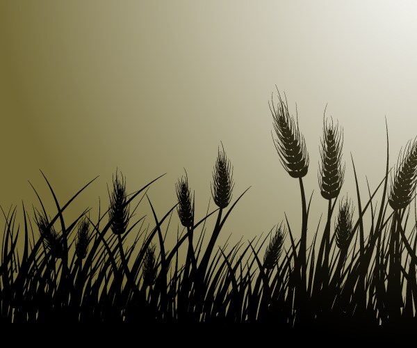 Wheat Vector Images (over 130,000)
