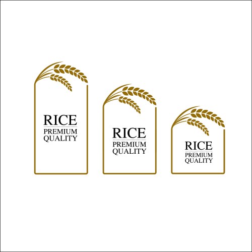 Premium rice great quality design concept Vector Image