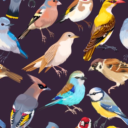 Birds Vector Images (over 630,000)