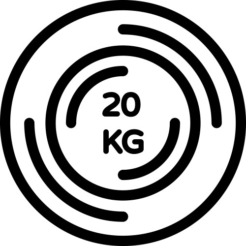 Weight Disk Plate Vector Images (over 480)