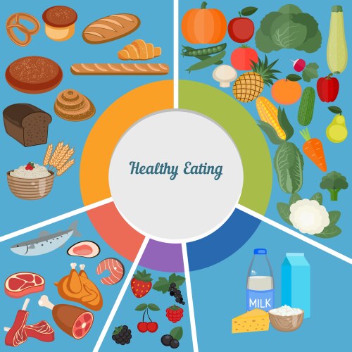 Healthy eating food plate Royalty Free Vector Image