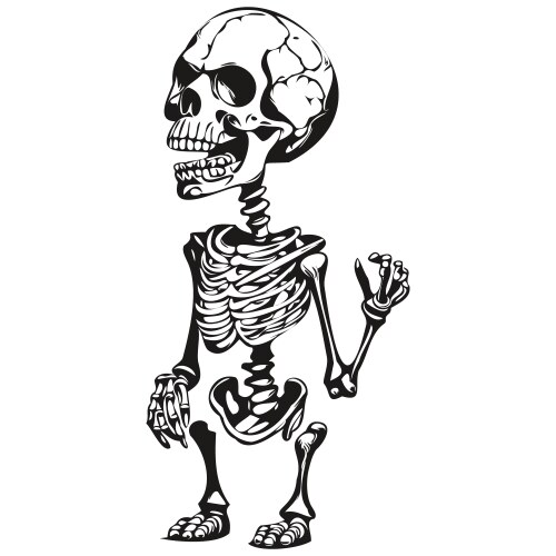 Skeleton Black and White Vector Images (over 37,000)