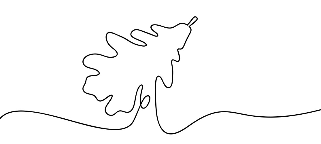 Oak leaf outline with flowing line Royalty Free Vector Image