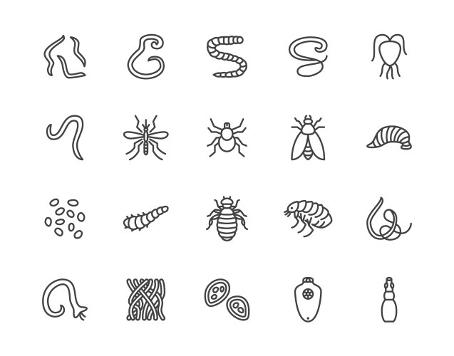 Nematode Vector Images (over 480)