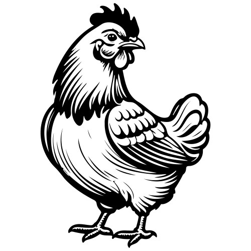 Chicken Line Art Vector Images (over 18,000)