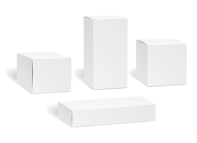 Box packaging blank white and black product Vector Image