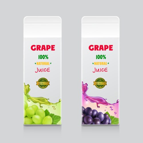 Juice package set carton box Royalty Free Vector Image