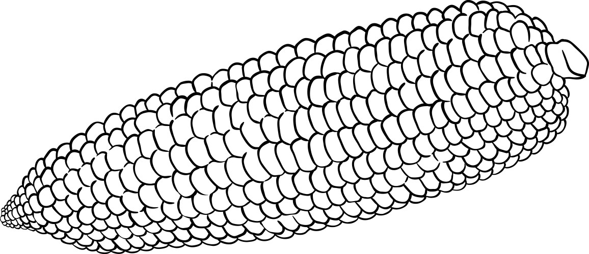 Cob Corn Outline Vector Images (over 1,500)