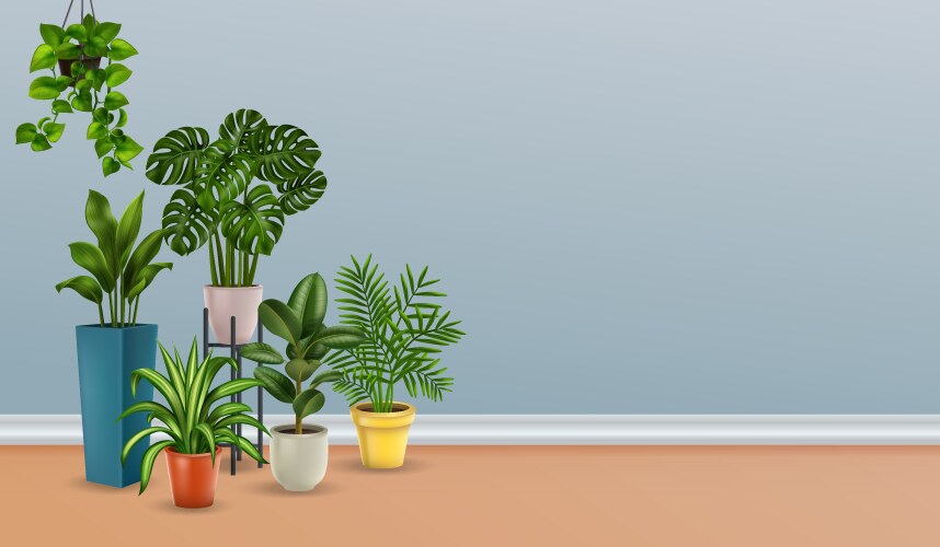 Realistic House Plants Vector Images (over 1,700)