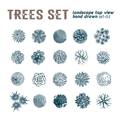 Tree Plan Vector Images (over 10,000)