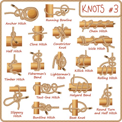 All types of knots demonstrated with strong rope Vector Image
