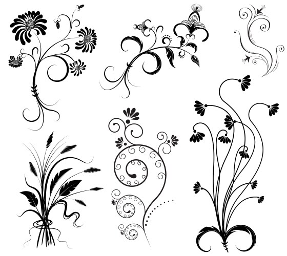 Floral elements Royalty Free Vector Image - VectorStock