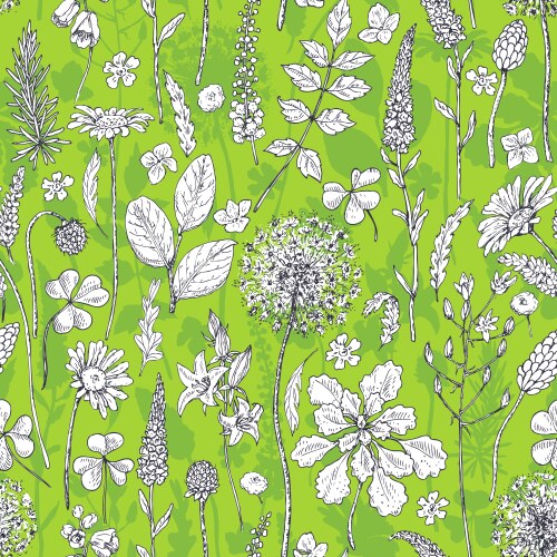 Seamless border with wild flowers and butterflies Vector Image