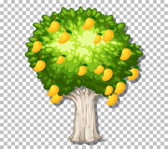 Mango tree on transparent background Royalty Free Vector