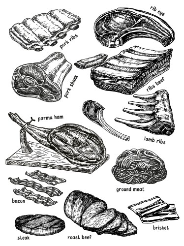 Raw meat set drawing hand drawn beef steak Vector Image