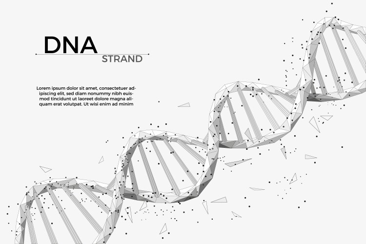 Gene Vector Images (over 36,000)