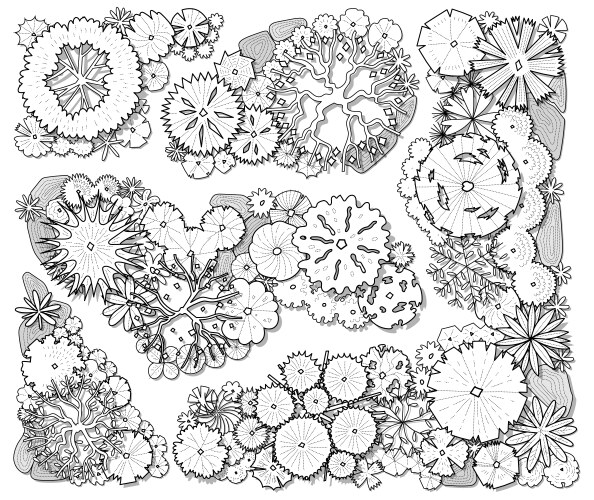 Hand drawn set of top view tree Royalty Free Vector Image