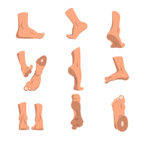 Cartoon legs in various poses comic foot and leg Vector Image