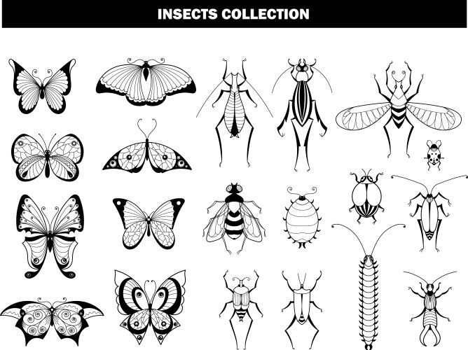 Insect Outlines Vector Images (over 43,000)