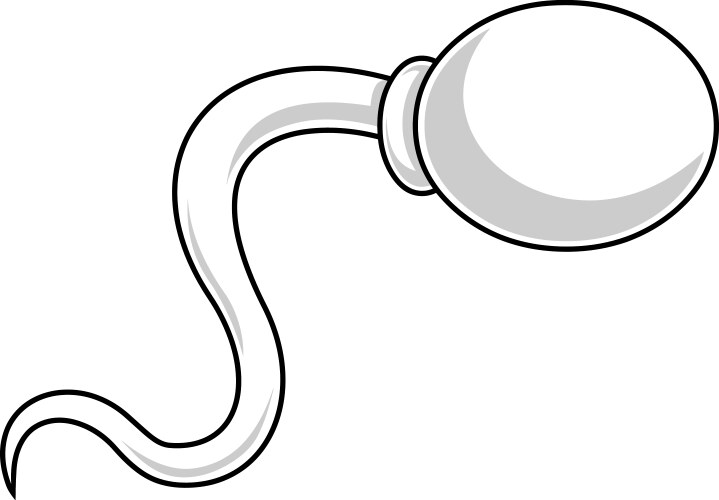 Sperm and Egg Cartoon Vector Images (over 430)