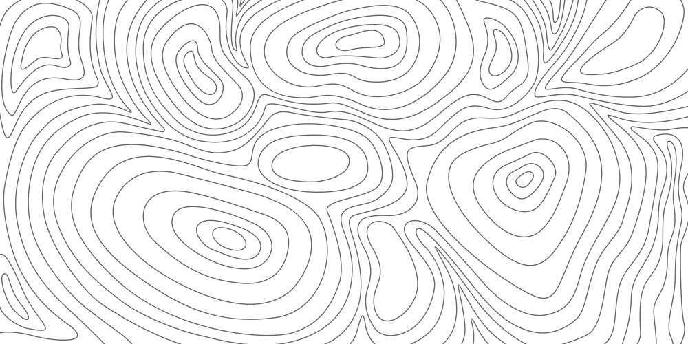 Topographical terrain map with line contours Vector Image