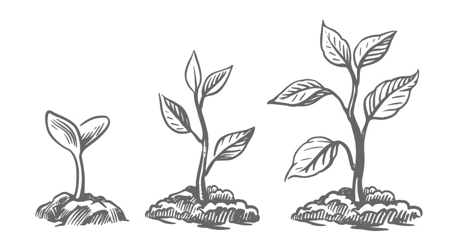 Growing Plant Vector Images (over 140,000)