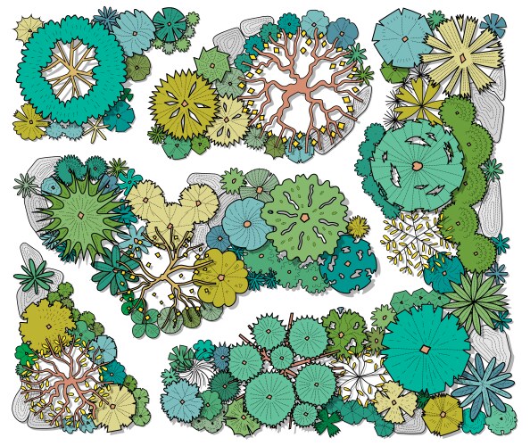 Hand drawn set of top view trees Royalty Free Vector Image