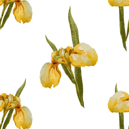 Iris Vector Images (over 20,000)