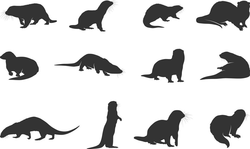 Otter Outline Vector Images (over 330)