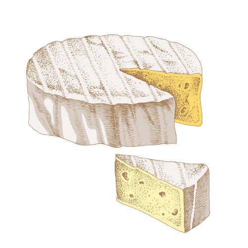 Camembert Vector Images (over 2,000)