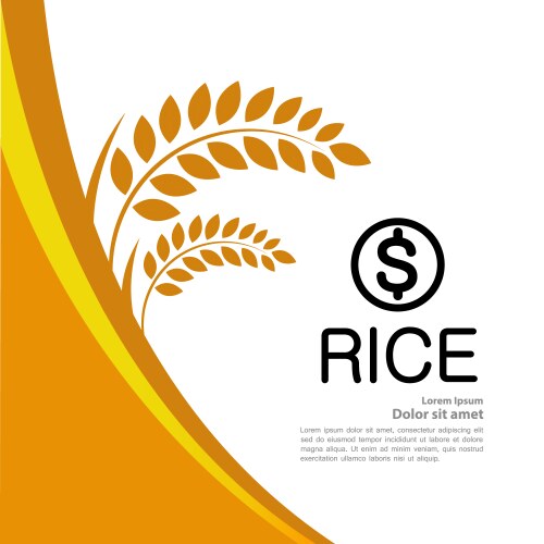 Rice Royalty Free Vector Image - VectorStock